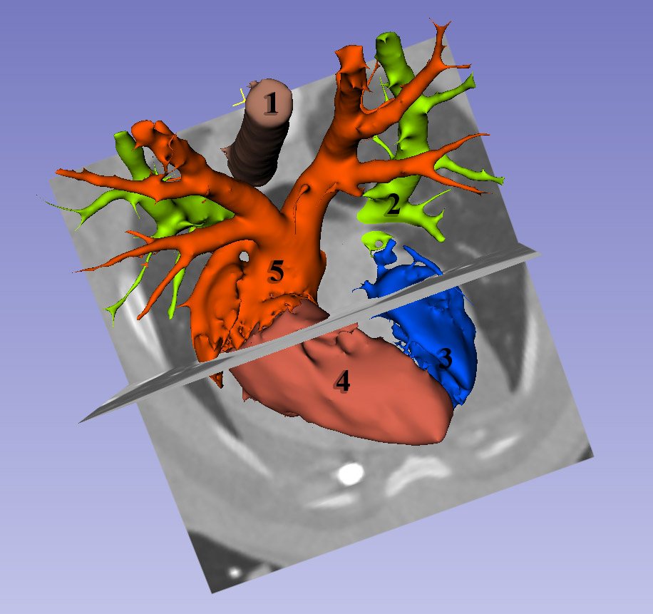 Medicopus Nonprofit Kft.