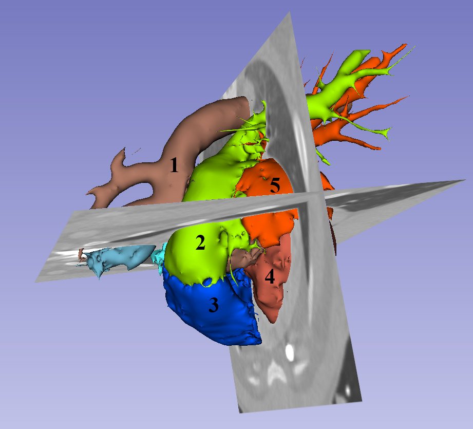 Medicopus Nonprofit Kft.